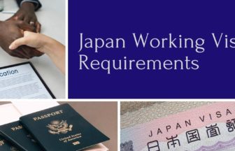 working visa requirements